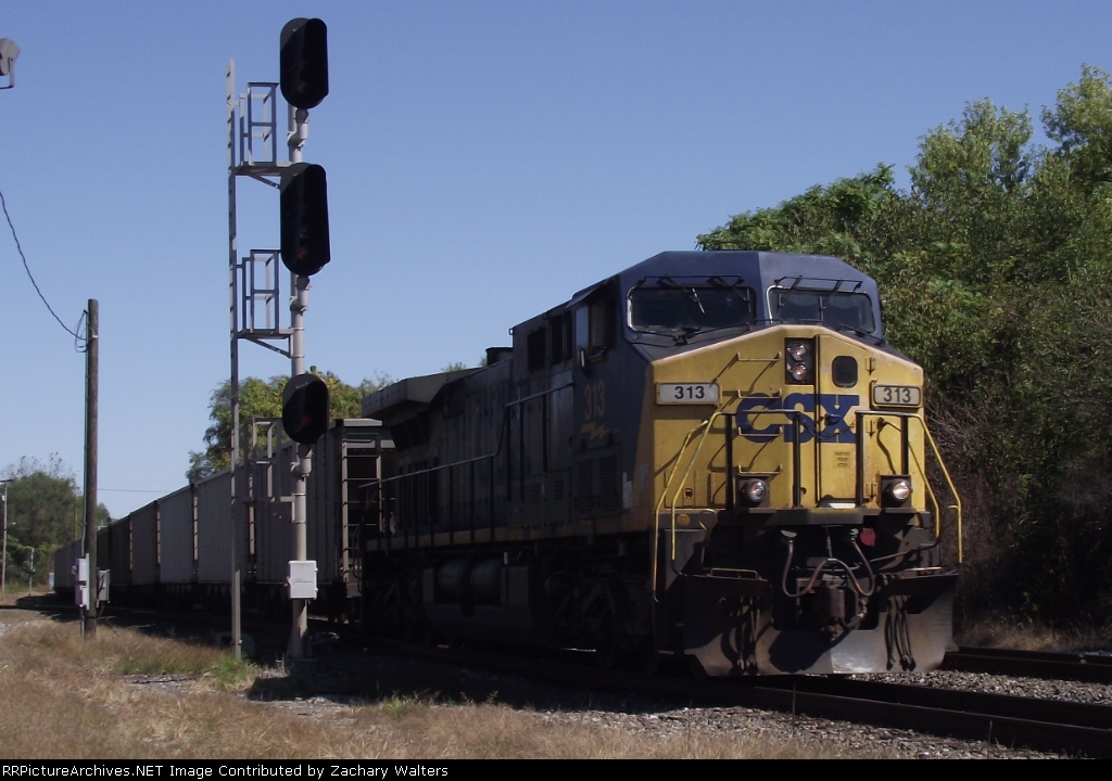 CSX 313
